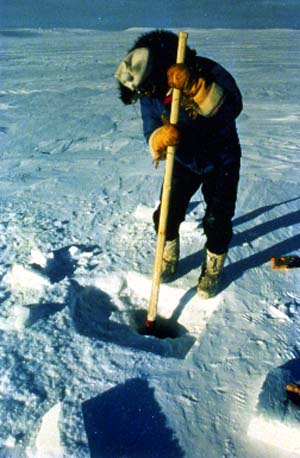 Web Page Poster Introduction